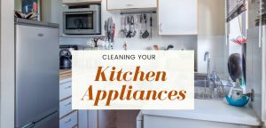Cleaning kitchen appliances: How to Deal with Dirt in Kitchen Appliances